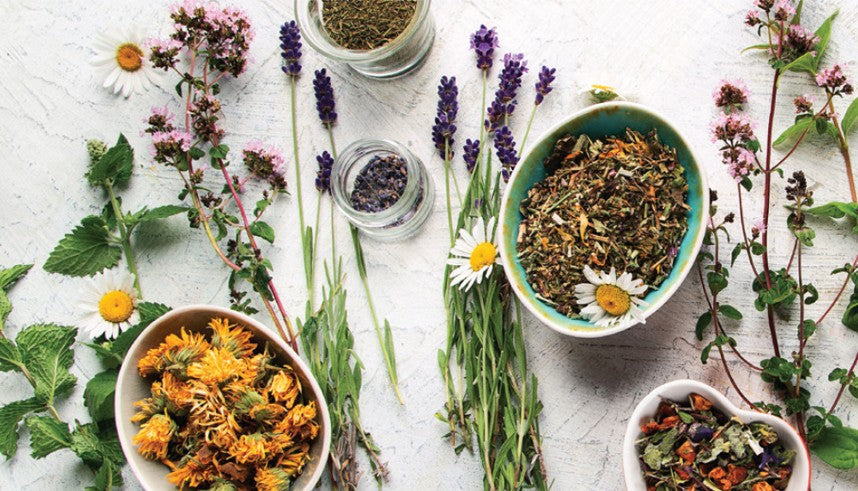 The Power of Botanicals: Why They Work and How to Use Them – Just Bee Honey